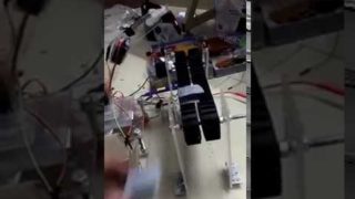 6 Axis Articulated Robotic Arm - Robotics Plus